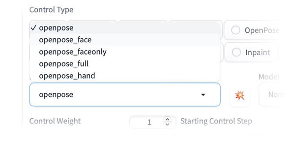 ControlNet OpenPose